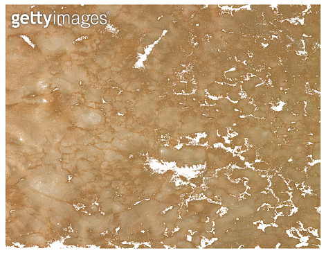 Page of old book or calligraphy with holes and detonation. Damaged ...