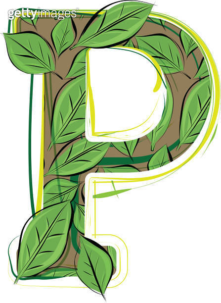Green leaf alphabet illustration LETTER P 이미지 (1410368273) - 게티이미지뱅크