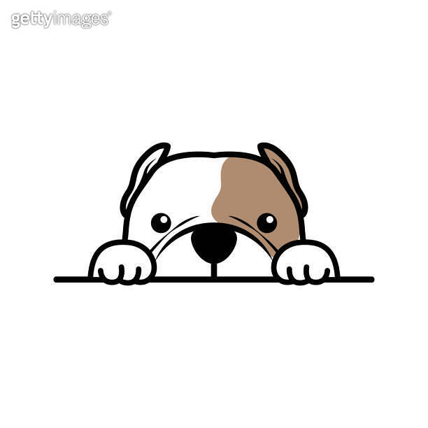 Cute american bully dog peeking cartoon, vector illustration ...