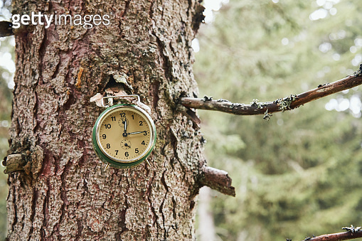 Time for nature and environmental conservation. 이미지 (1407835388) - 게티이미지뱅크