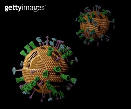 virosome is a drug or vaccine delivery mechanism consisting of ...