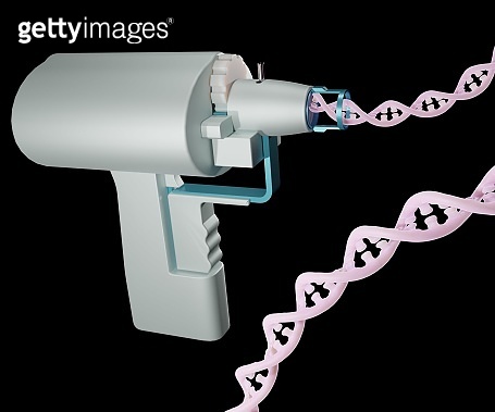 A gene gun or a biolistic particle delivery system for genetic research ...