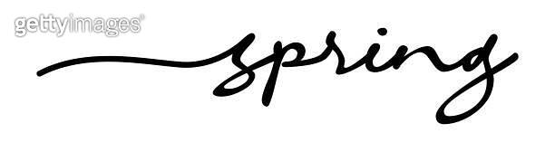 Spring Handwriting Black Lettering Calligraphy Isolated on White ...