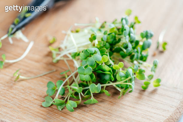 Freshly cut arugula microgreens sprouts on the chopping board in the ...