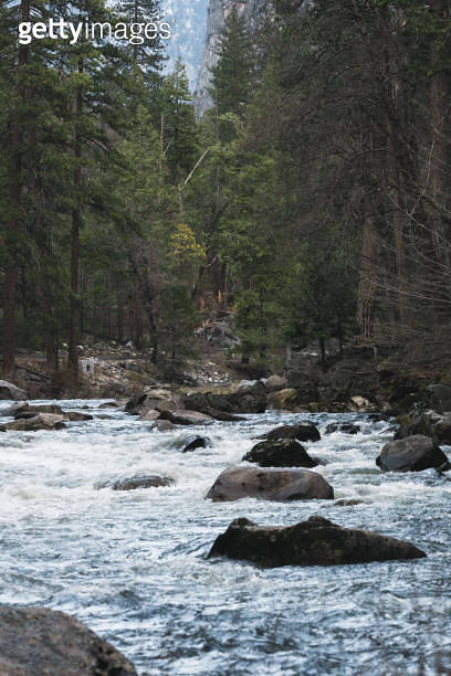 The Merced River in Yosemite Valley 이미지 (1419497349) - 게티이미지뱅크