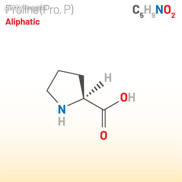 Proline (Pro, P) proteinogenic amino acid molecule. (Chemical formula ...