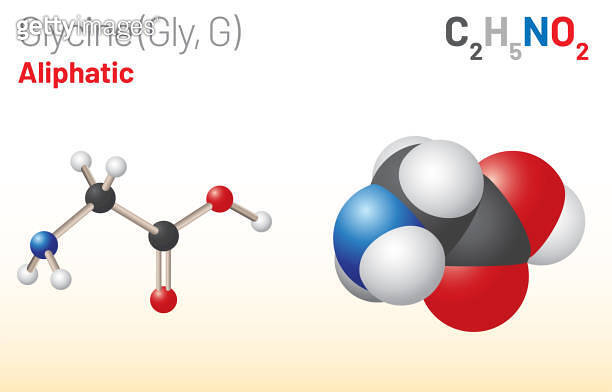 Glycine (Gly, G) amino acid molecule. (Chemical formula C2H5NO2) 이미지 ...