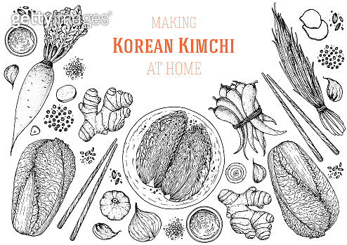Kimchi cooking and ingredients for kimchi, sketch illustration. Korean ...