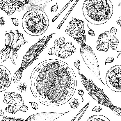 Kimchi cooking and ingredients for kimchi, sketch illustration ...