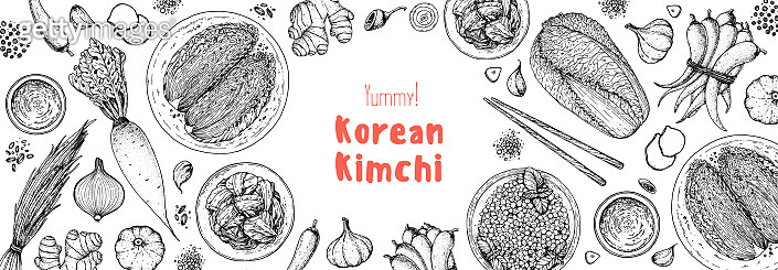 Kimchi cooking and ingredients for kimchi, sketch illustration. Korean ...