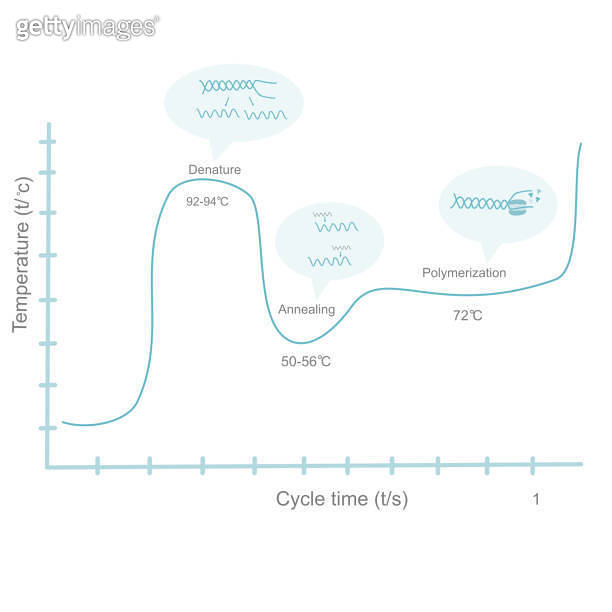 The correlation graph of temperature and cycle time of PCR steps ...