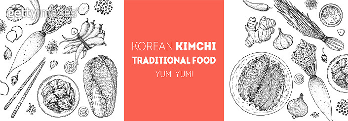Kimchi cooking and ingredients for kimchi, sketch illustration. Korean ...