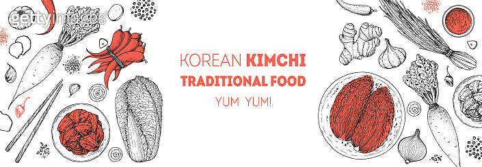 Kimchi cooking and ingredients for kimchi, sketch illustration. Korean ...