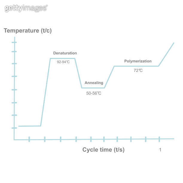 The polymerase chain reaction (PCR) graph that shown the correlation ...