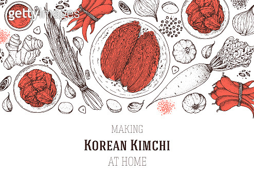 Kimchi cooking and ingredients for kimchi, sketch illustration. Korean ...