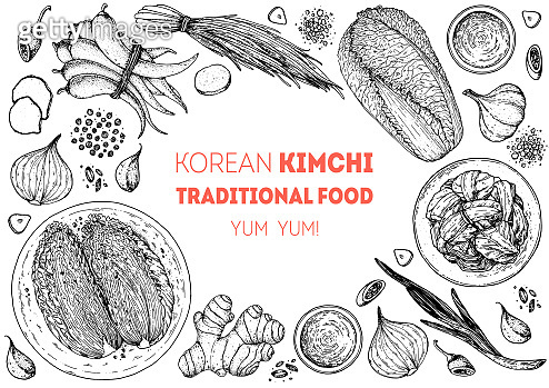 Kimchi cooking and ingredients for kimchi, sketch illustration. Korean ...