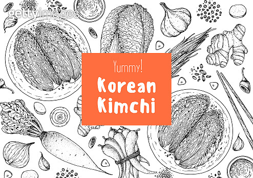 Kimchi cooking and ingredients for kimchi, sketch illustration. Korean ...