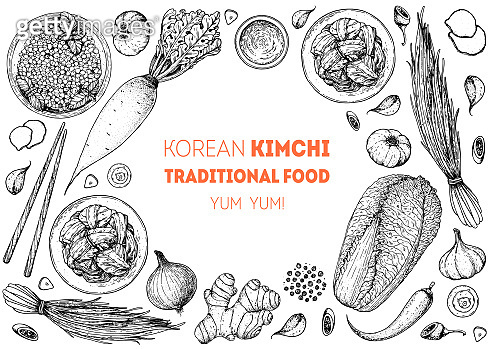 Kimchi cooking and ingredients for kimchi, sketch illustration. Korean ...