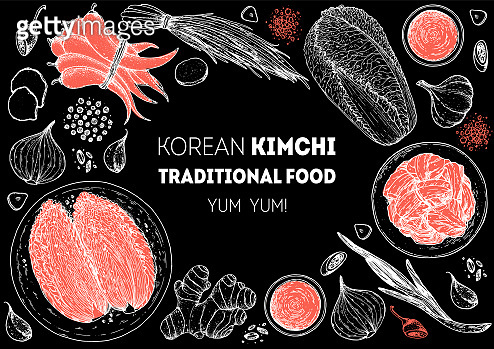 Kimchi cooking and ingredients for kimchi, sketch illustration. Korean ...