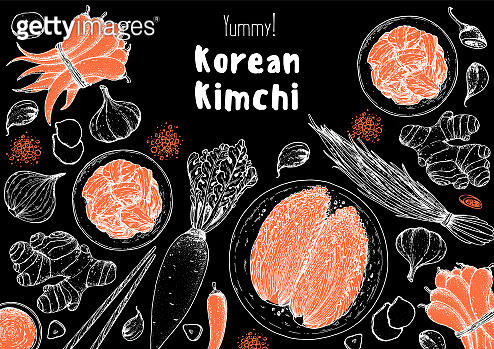 Kimchi cooking and ingredients for kimchi, sketch illustration. Korean ...