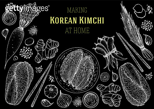 Kimchi cooking and ingredients for kimchi, sketch illustration. Korean ...