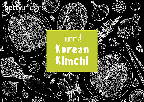 Kimchi cooking and ingredients for kimchi, sketch illustration. Korean ...