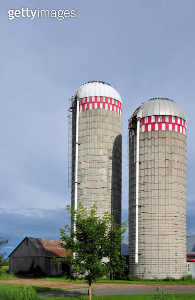Forage silos - concrete stave silos, Quebec, Canada (1443090534) - 게티이미지뱅크