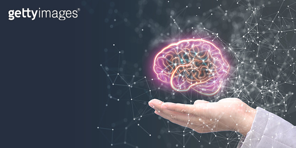 Hands holding a brain with network connections, science and ...