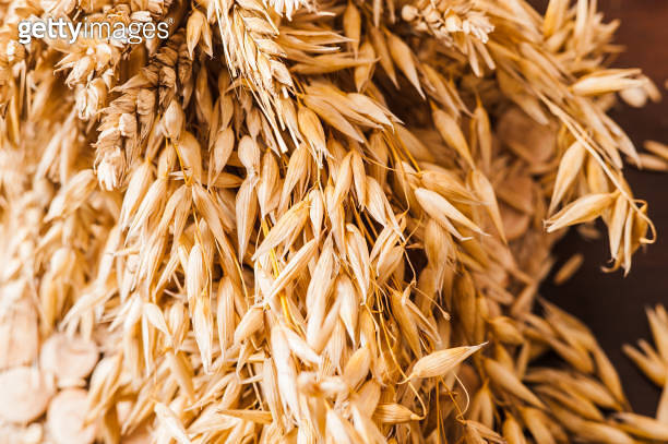Natural oat grains with husk in scoop for background, closeup shot 이미지 ...