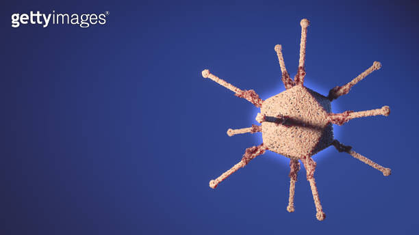 Adenovirus causes hepatitis in children Human adenovirus model ...