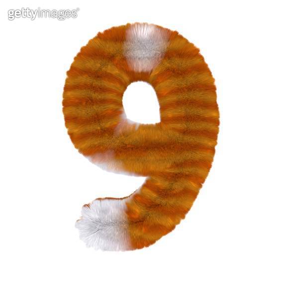 Orange Tabby Cat Themed Font Number 9 (1386998100) - 게티이미지뱅크