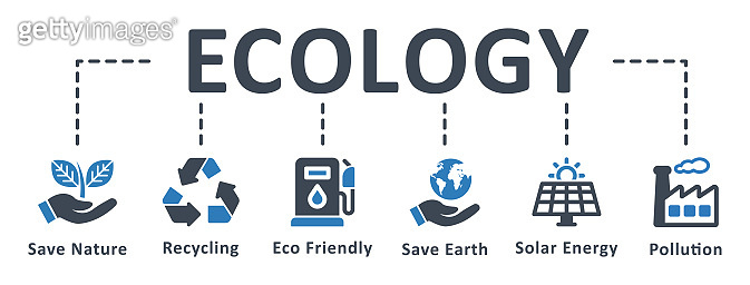 Ecology icon - vector illustration . ecology, environment, green ...