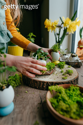 Little girl decorating nest with eggshell with cucumber sprouts on the ...