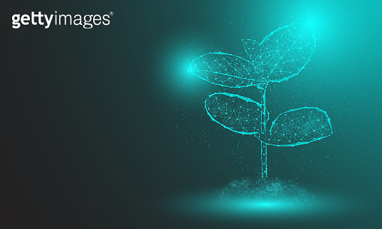Tree. Digital vector outline of plants in dark blue. growth concept ...