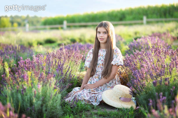 beautiful young girl with straw hat and a long dress collects lavender ...