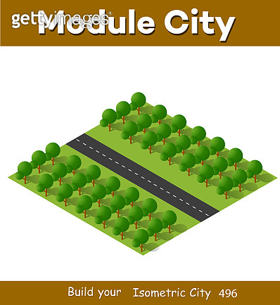 Isometric 3D illustration view from above to the Forest quarter 이미지 ...