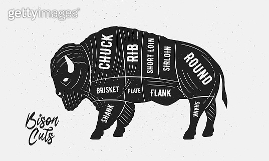 Cuts of Bison. Butcher Diagram, scheme, chart. Bison, Buffalo sketch ...