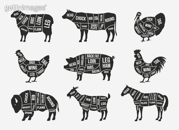 Butcher diagram, scheme set. Mutton, Lamb, Pork, Buffalo, Chicken ...