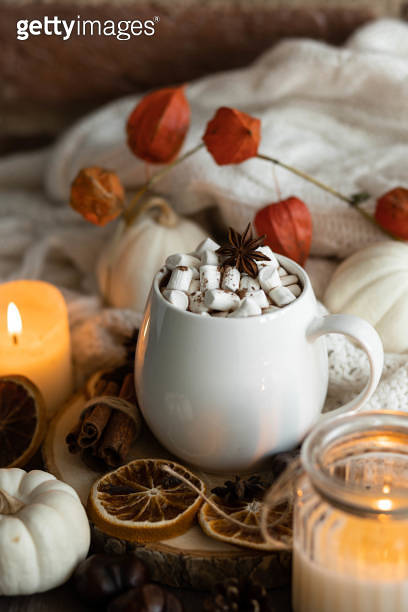 Autumn cozy home composition with hot chocolate with marshmallow and ...