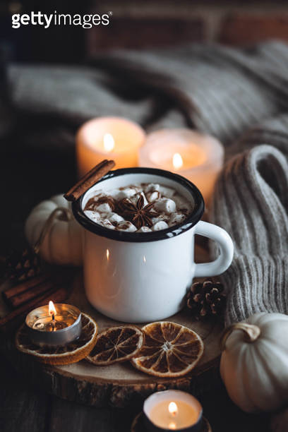 Autumn cozy home composition with hot chocolate with marshmallow and ...