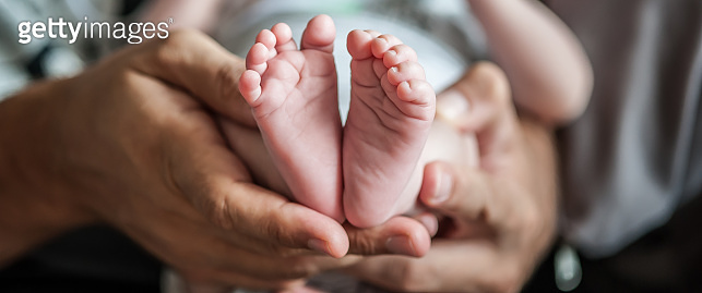 Cute baby leg in parent hands. Macro of foot fingers 이미지 (1412230288 ...