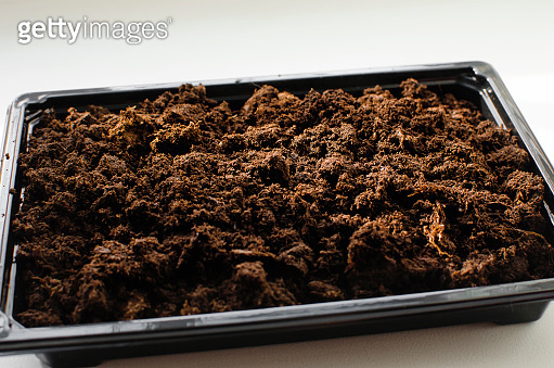 Chernozem soil in a container for planting plants at home. 이미지 ...