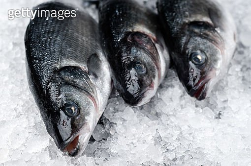 Chilled fish in the market. Fresh fish. White meat. Seafood market by ...