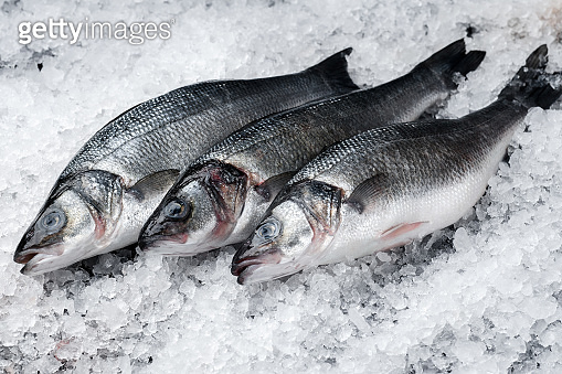 Chilled fish in the market. Fresh fish. White meat. Seafood market by ...