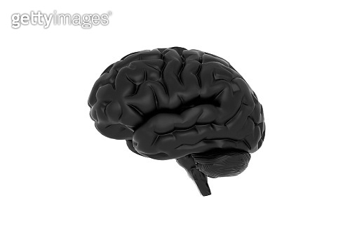 Black human brain isolated on white background, mental health and ...