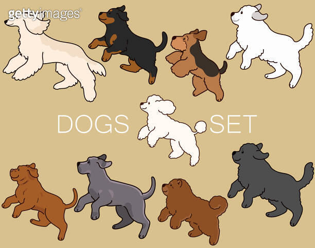 Set of cute and simple dogs illustrations jumping 이미지 (1430952268) - 게티 ...