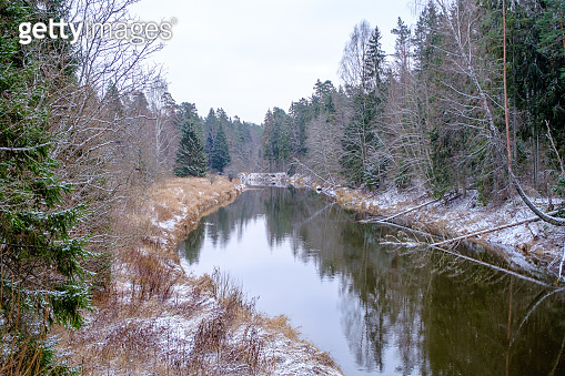 The river Salaca is meandered by high sandstone cliffs. Skanaiskalns ...