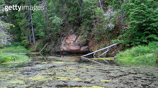 Mirror cliffs and an old river channel in a very beautiful forest in ...