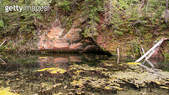 Mirror cliffs and an old river channel in a very beautiful forest in ...