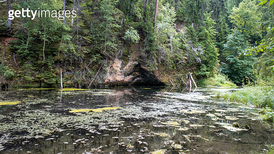 Mirror cliffs and an old river channel in a very beautiful forest in ...